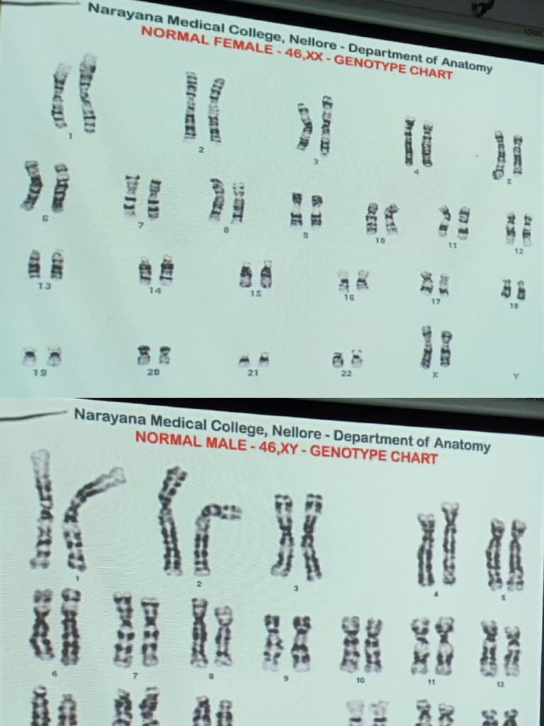 Genetic Charts 1 | PDF
