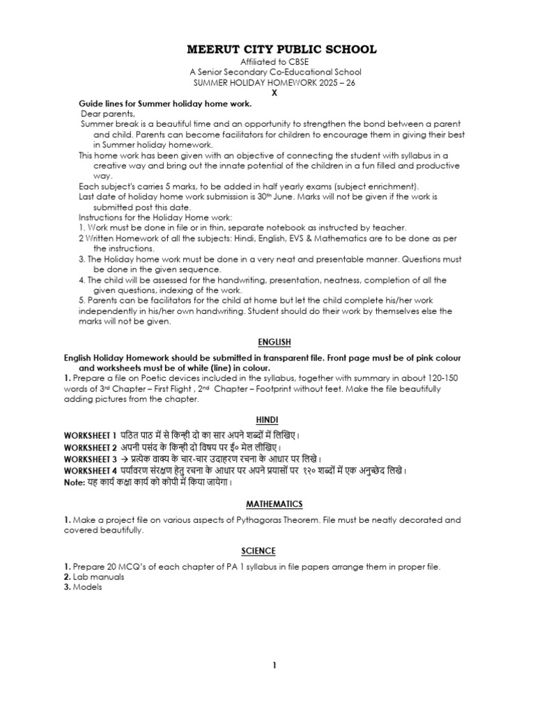 Meerut City Public School Summer Homework 2025-26 | PDF