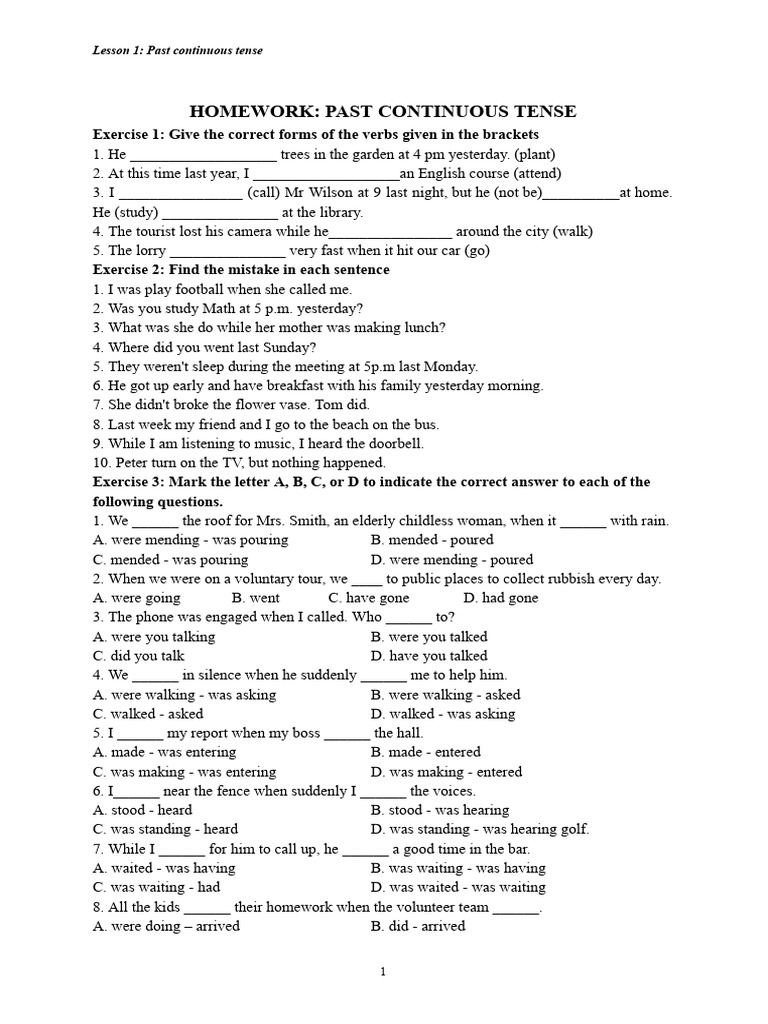 1.2. Homework - Past Continuous Tense | PDF