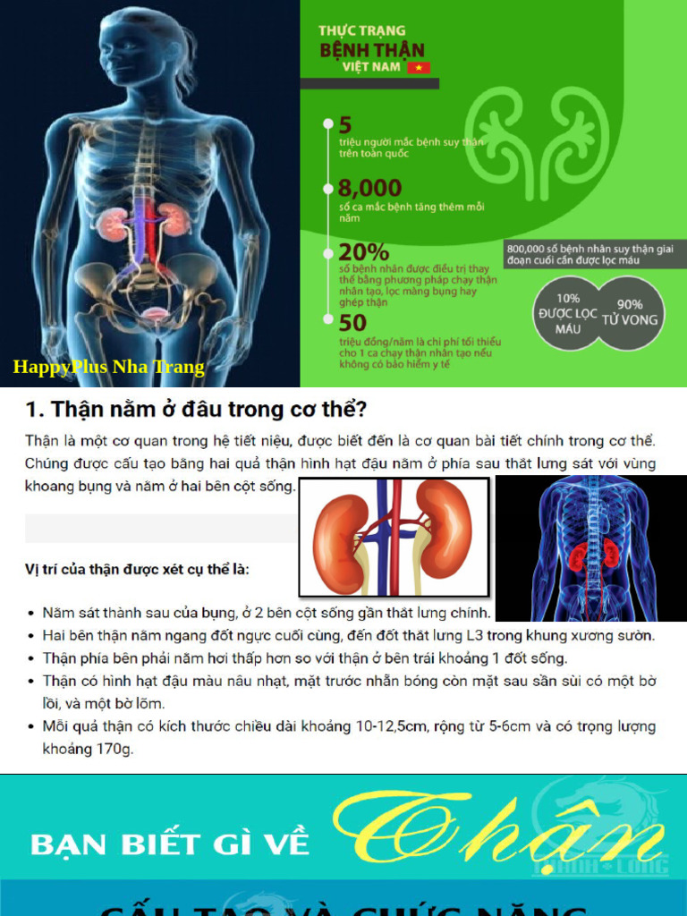 TTN & CÁC BỆNH VỀ THẬN | PDF