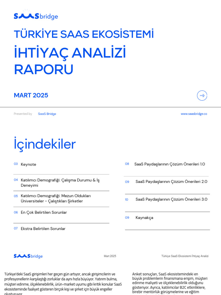 SaaS Bridge - Türkiye SaaS Ekosistemi İhtiyaç Analizi Raporu | PDF