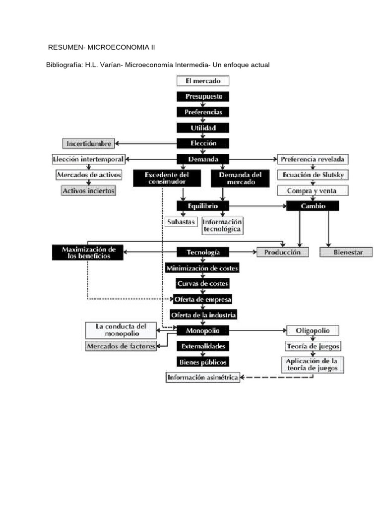 Resumen-Micro Ii | PDF | Oferta y demanda | Monopolio