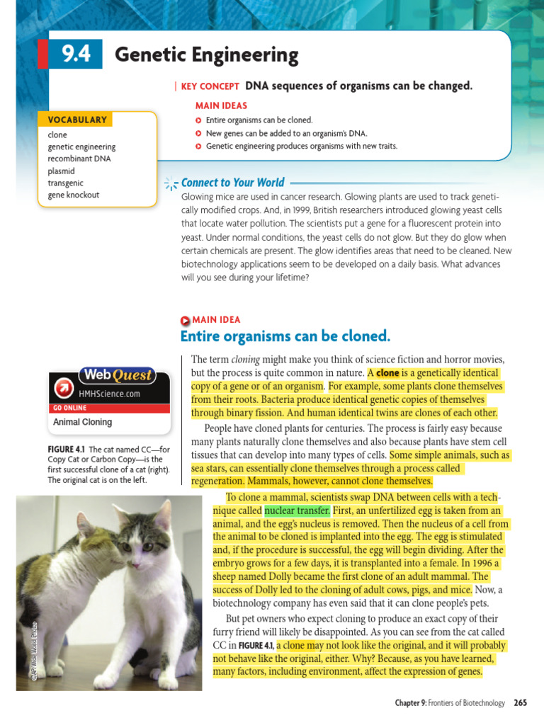9.4-Genetic Engineering - Part 1 (Book Highlights) | PDF | Genetic Engineering | Molecular Cloning