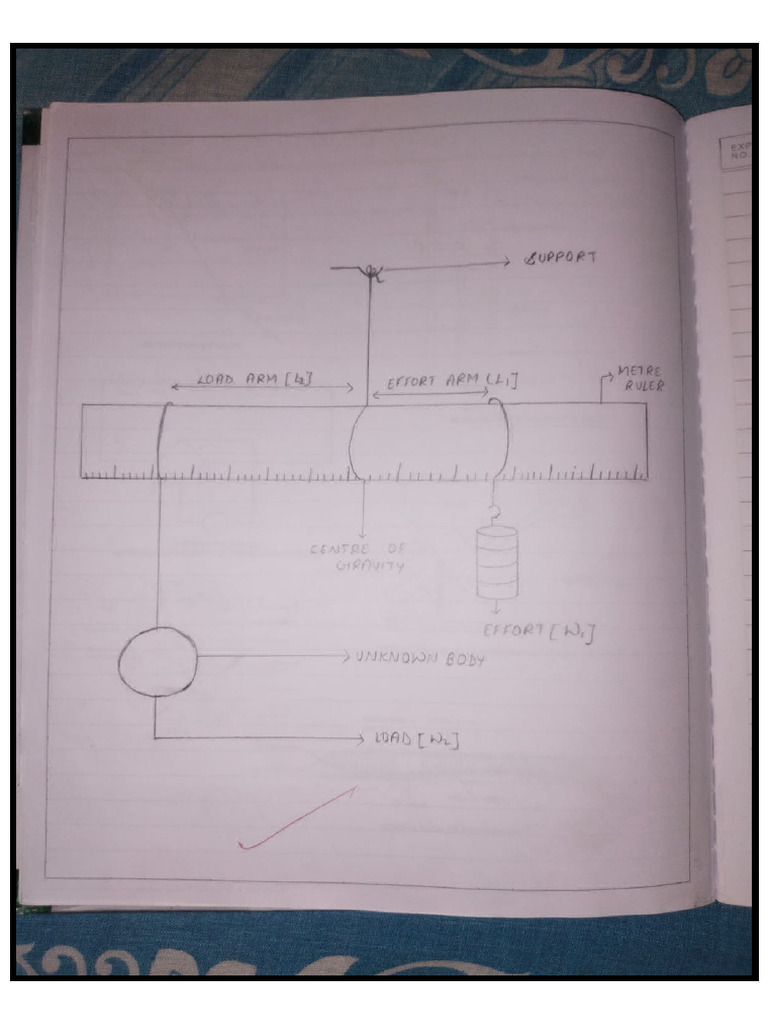 phy diagrams and observations | PDF
