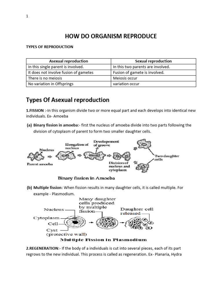 Types of Reproduction in Organisms | PDF | Fertilisation | Uterus