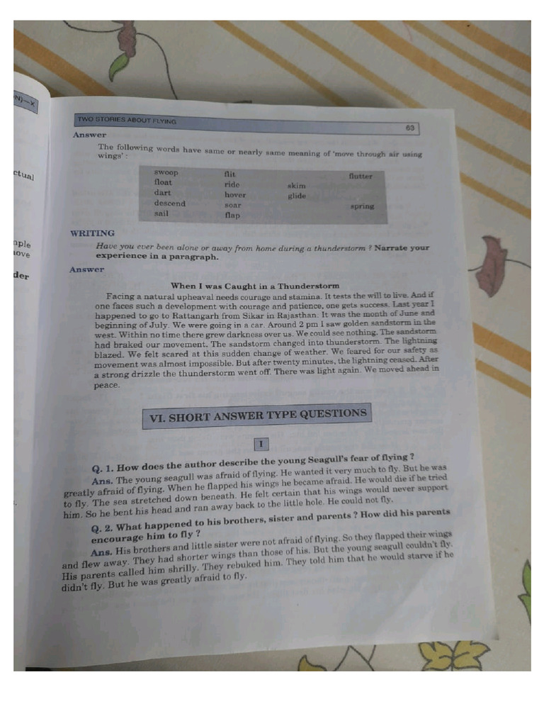 Two Stories About Flying | PDF