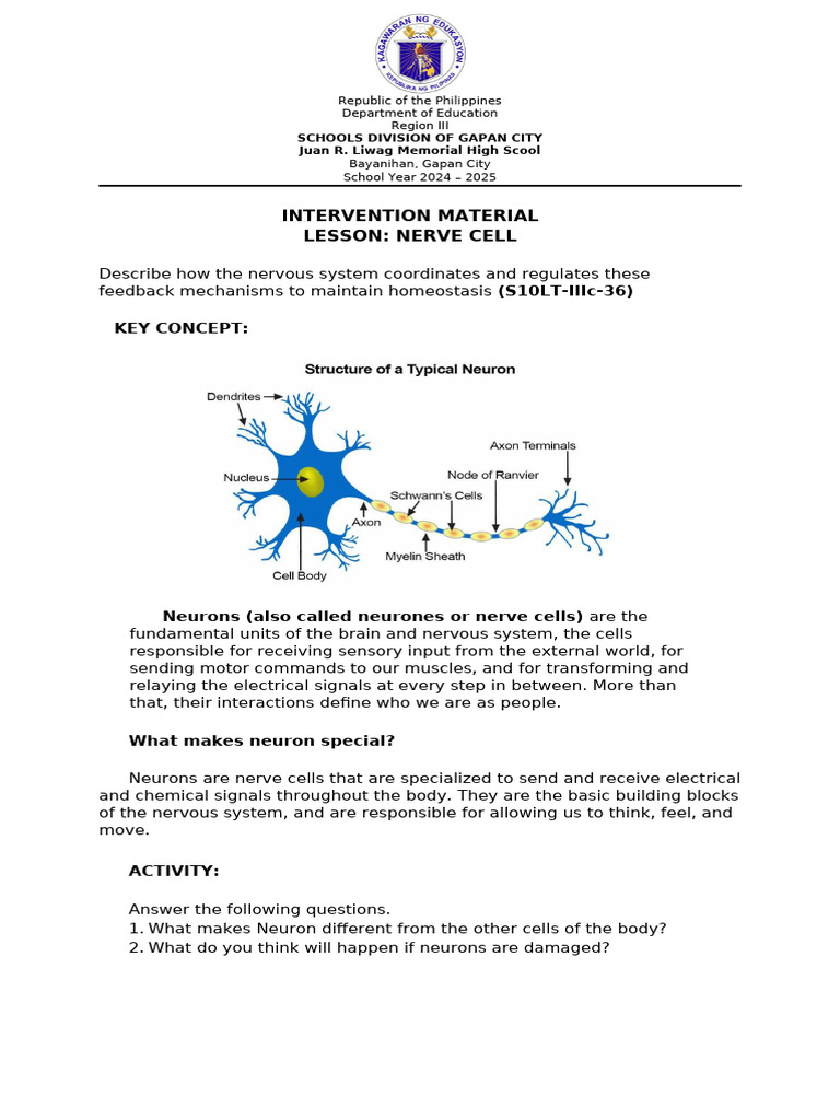 Intervention Neurons | PDF