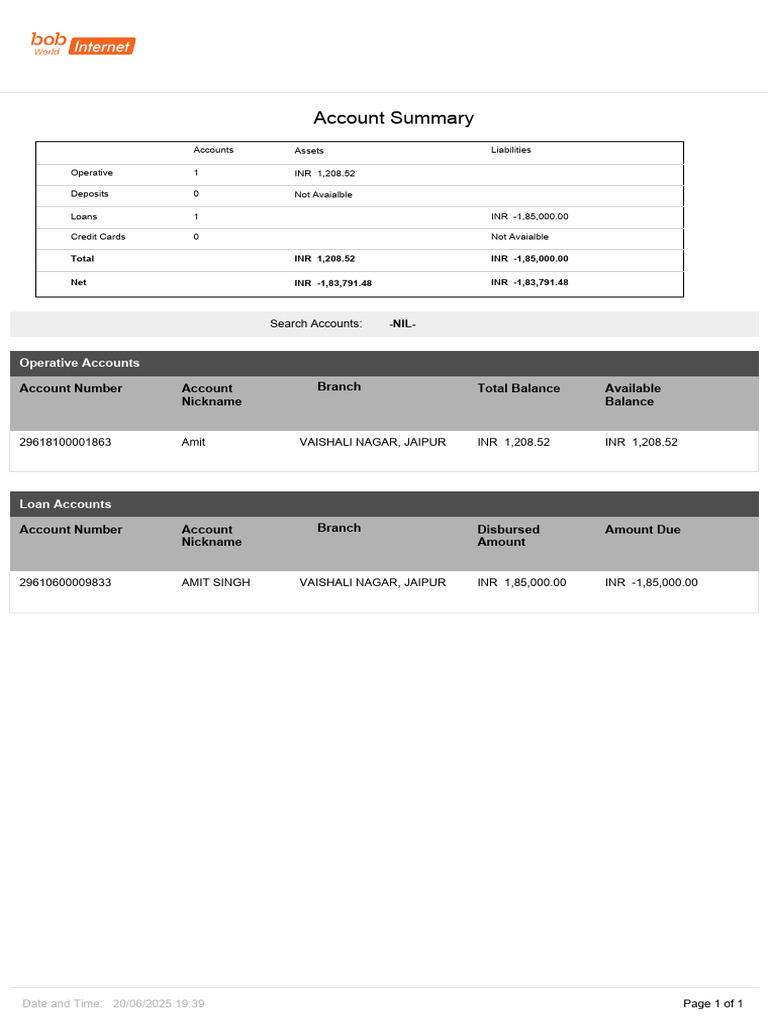 Account Summary for Amit Singh | PDF