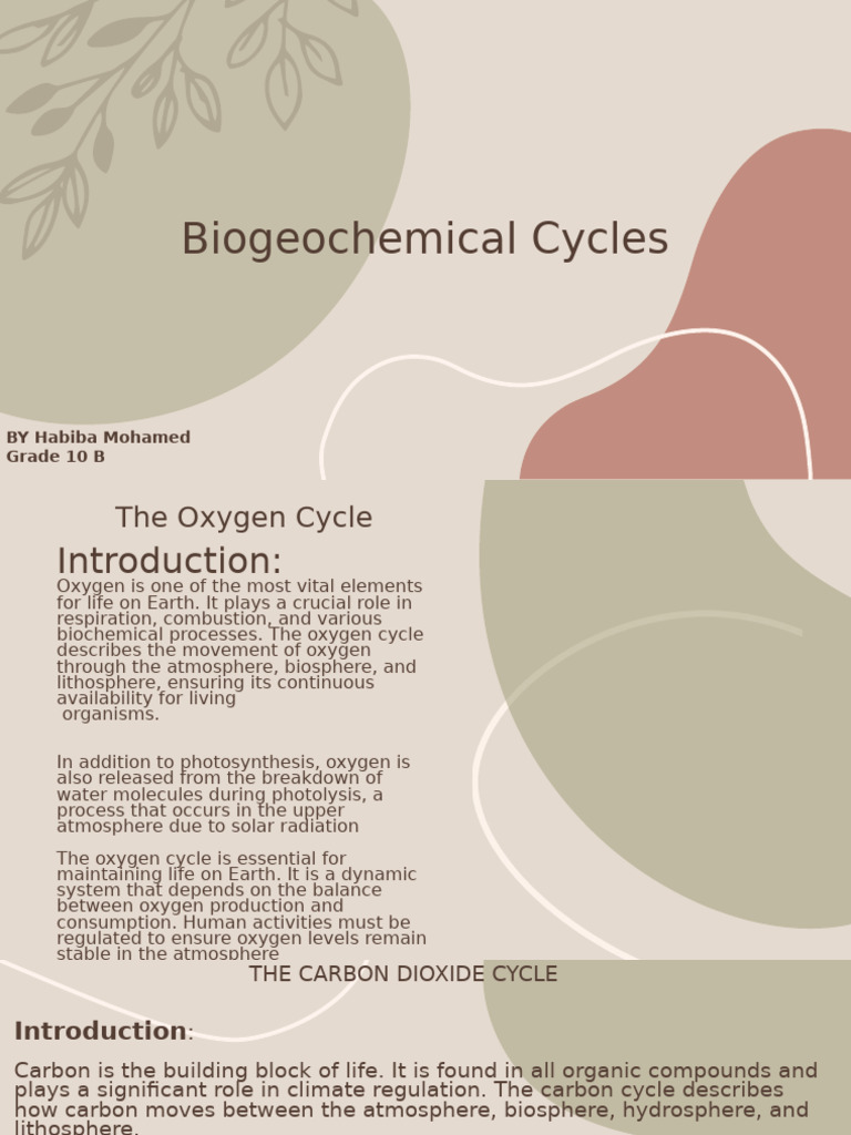 Biogeochemical Cycles | PDF | Oxygen | Carbon Dioxide