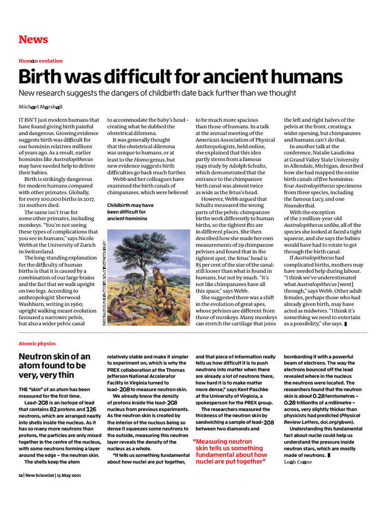 Childbirth Ancient Humans | PDF