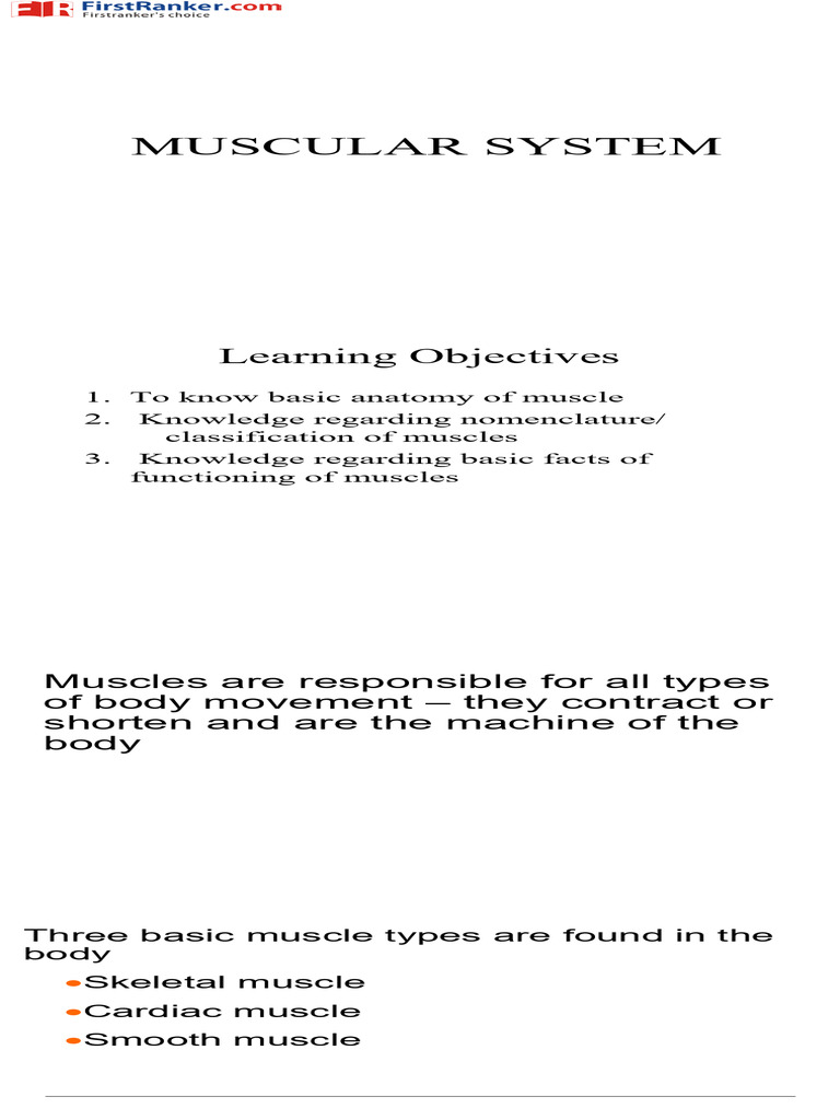 Muscular System: Learning Objectives | PDF | Skeletal Muscle | Anatomy