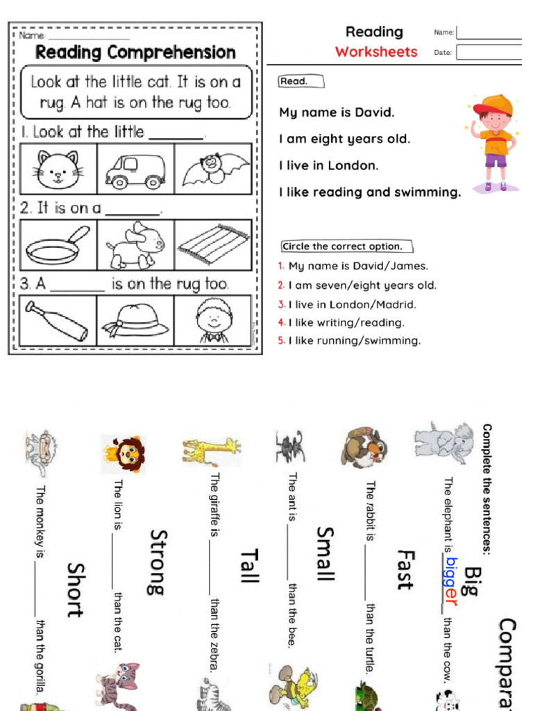 Adjective and Reading Tutorial | PDF