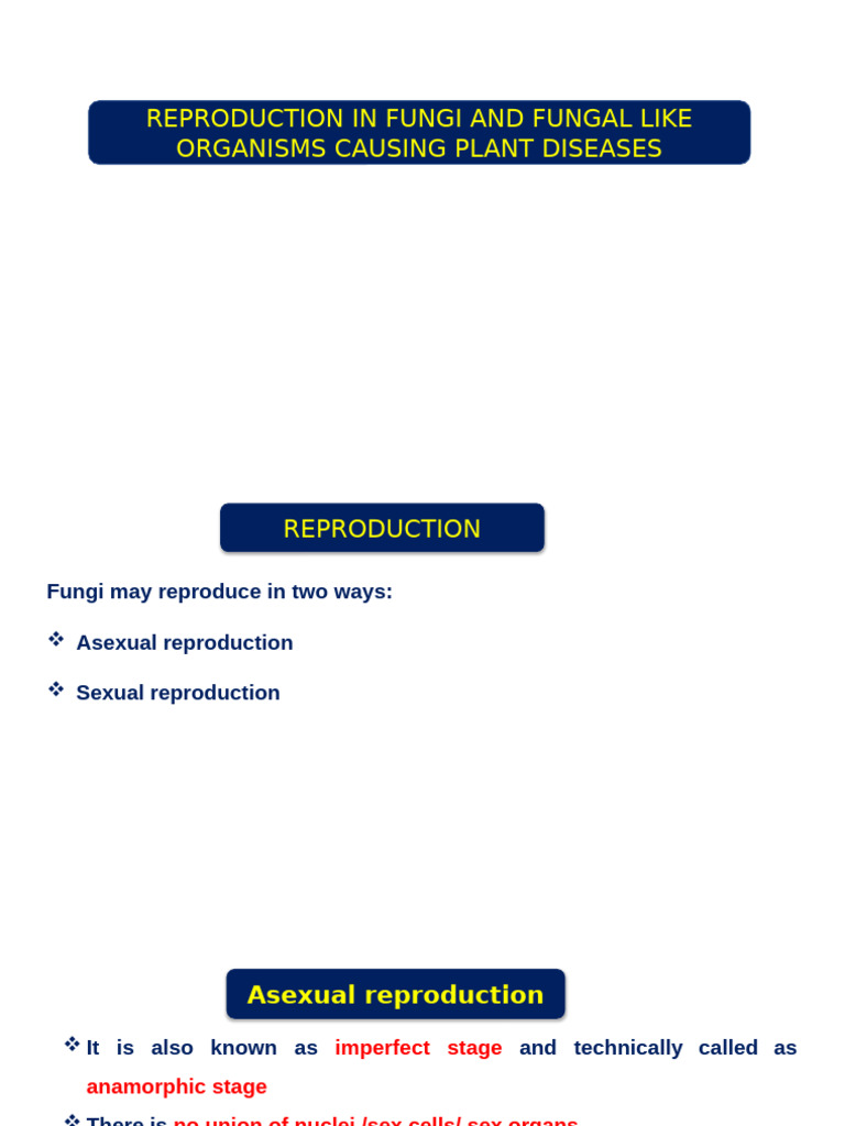 Asexual Reproduction in Plants, Apogamy | PDF | Fungus | Spore