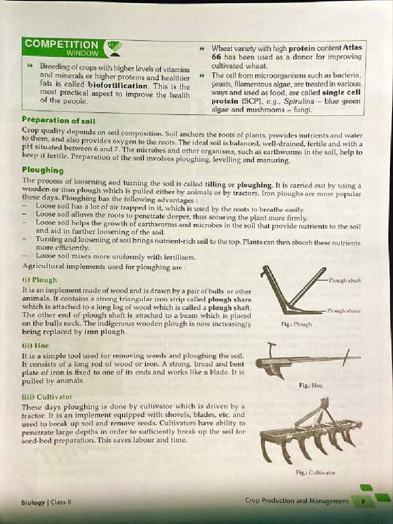 Bio Class 8 IMP-2 | PDF