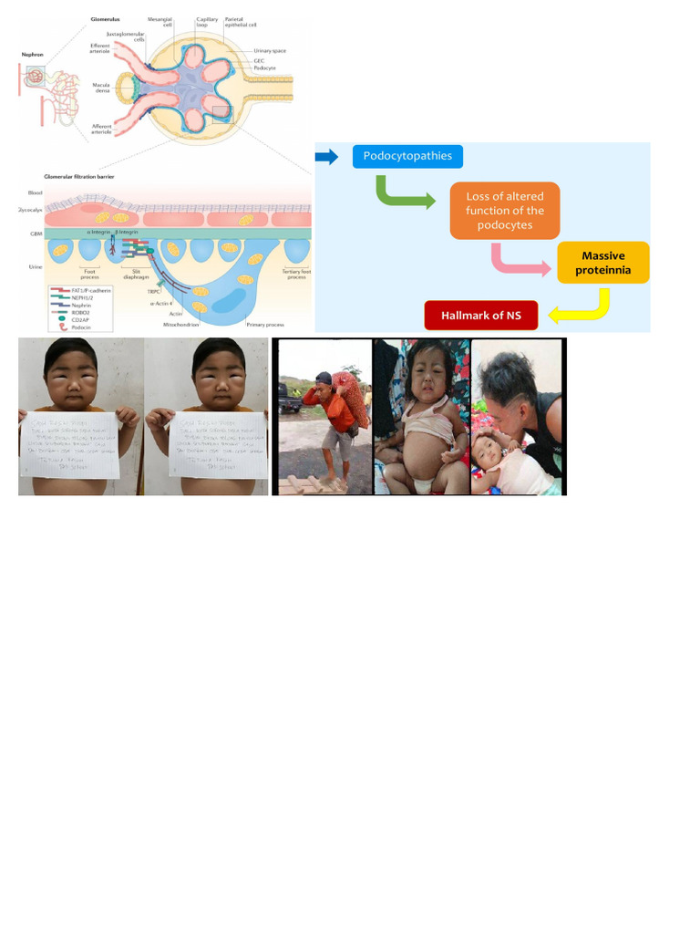 Untitled Document 6 | PDF