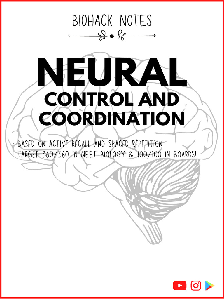 21.neural Control and Coordination BioHack | PDF
