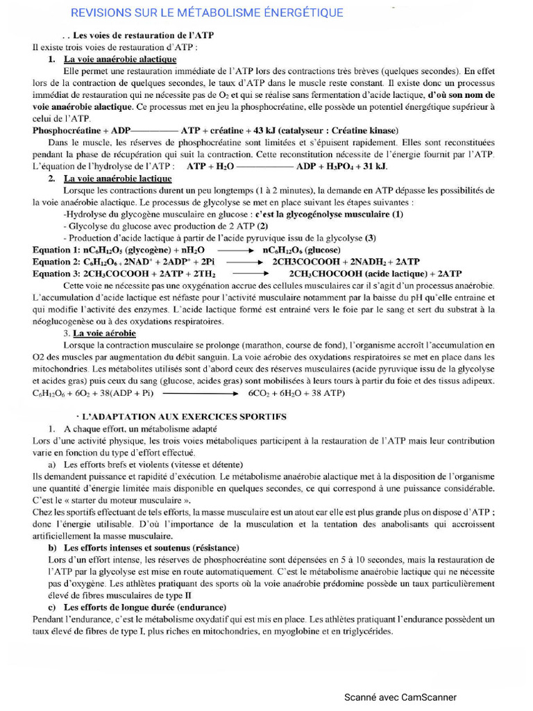 Revisions en Svteehb 3 | PDF