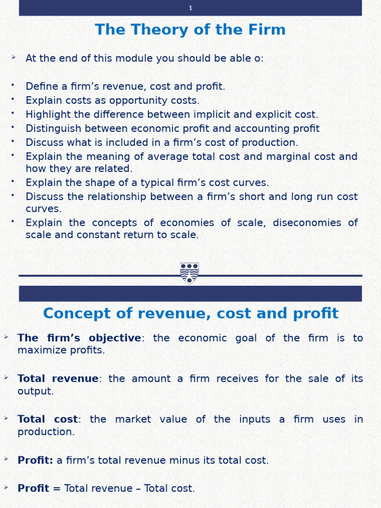 Understanding Economic Profit Formulas | PDF | Average Cost | Profit ...