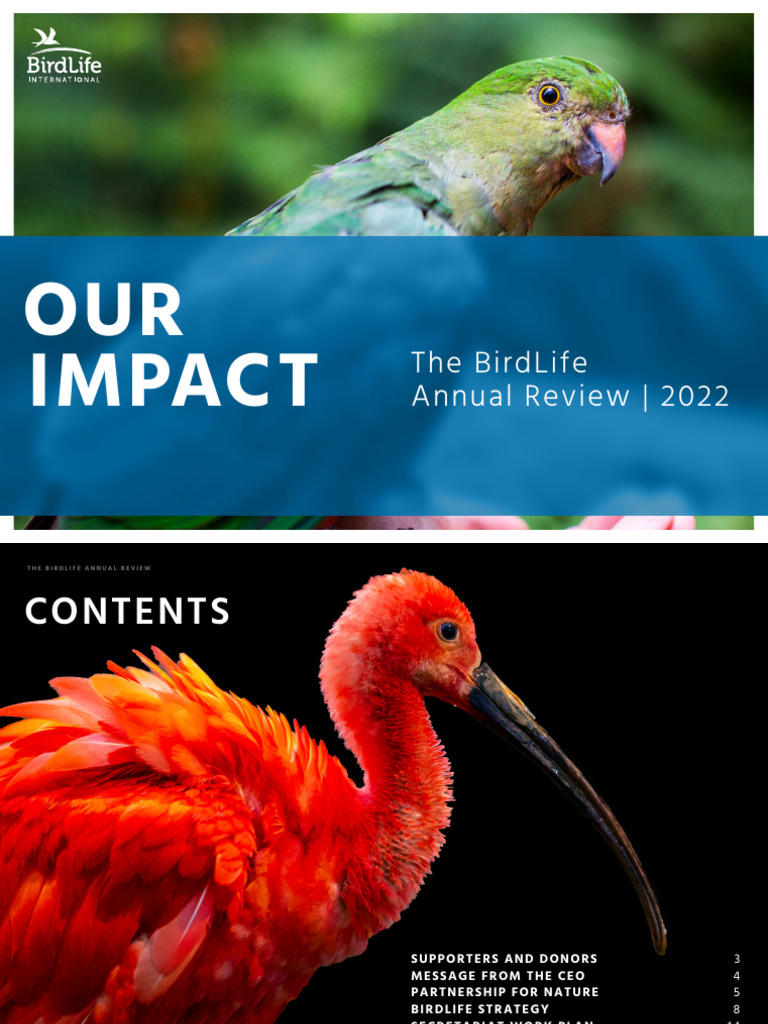 BirdLife International Annual Review 2022 | PDF | Conservation Biology ...