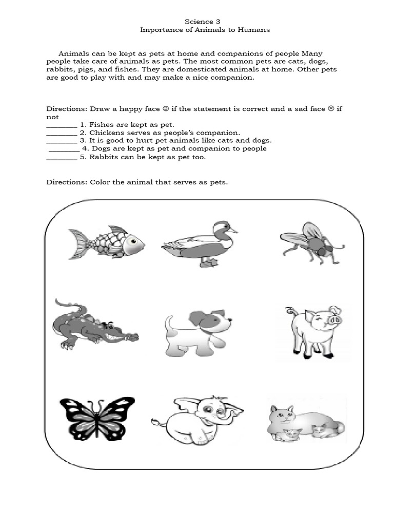 Science 3 Importance of Animals To Humans | PDF