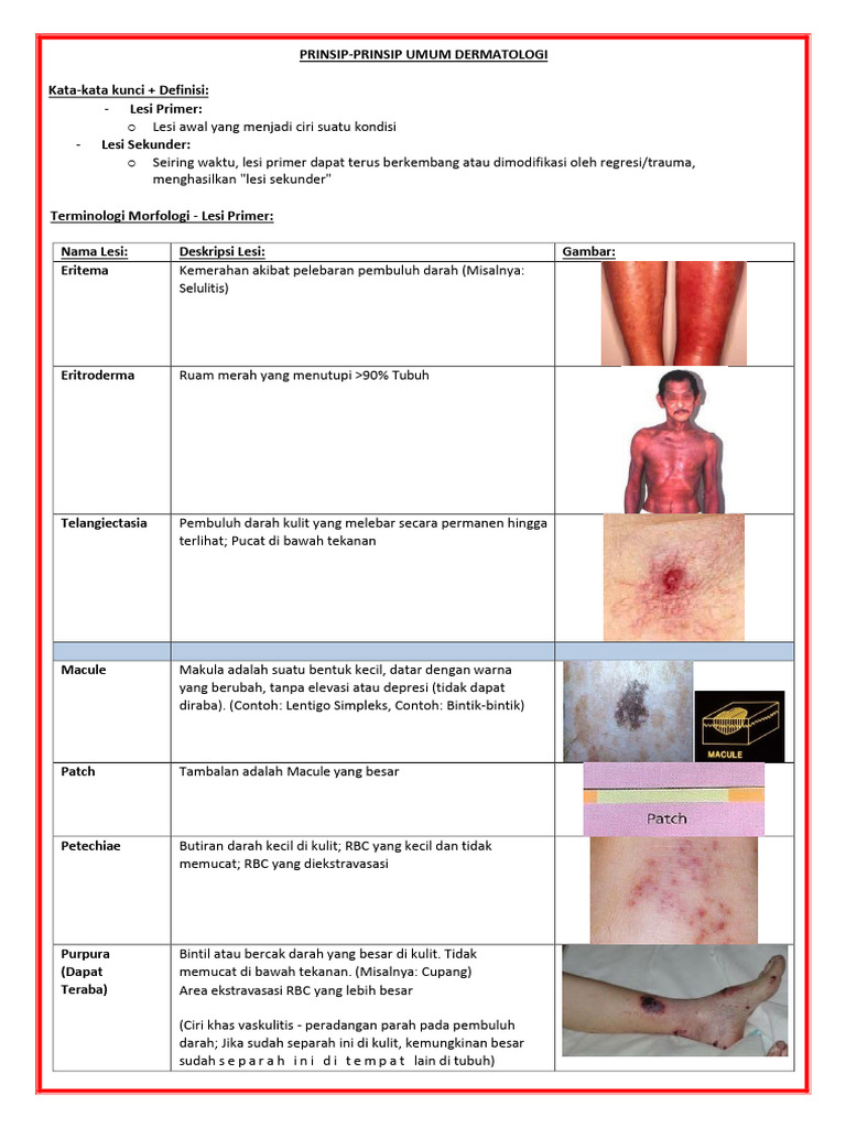 Prinsip Dasar Lesi Kulit dalam Dermatologi | PDF