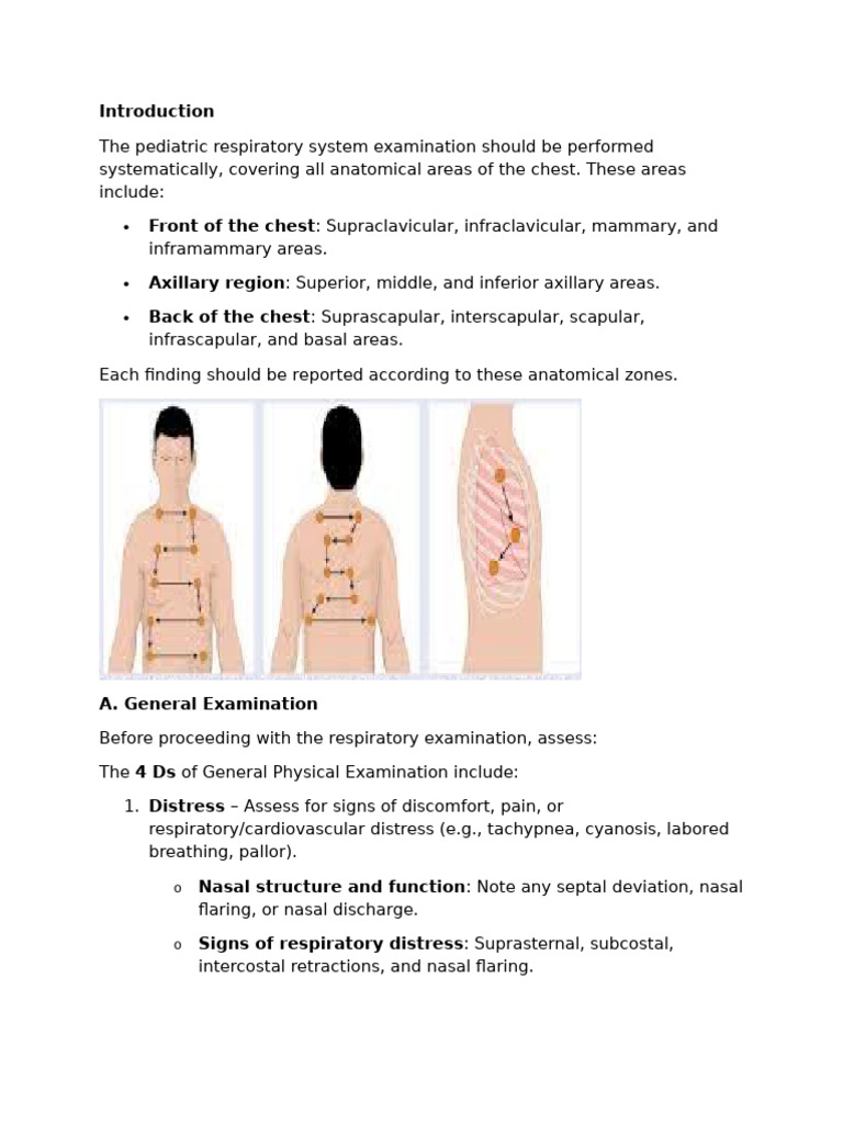 Respiratory System Examination | PDF | Respiratory Diseases | Lung