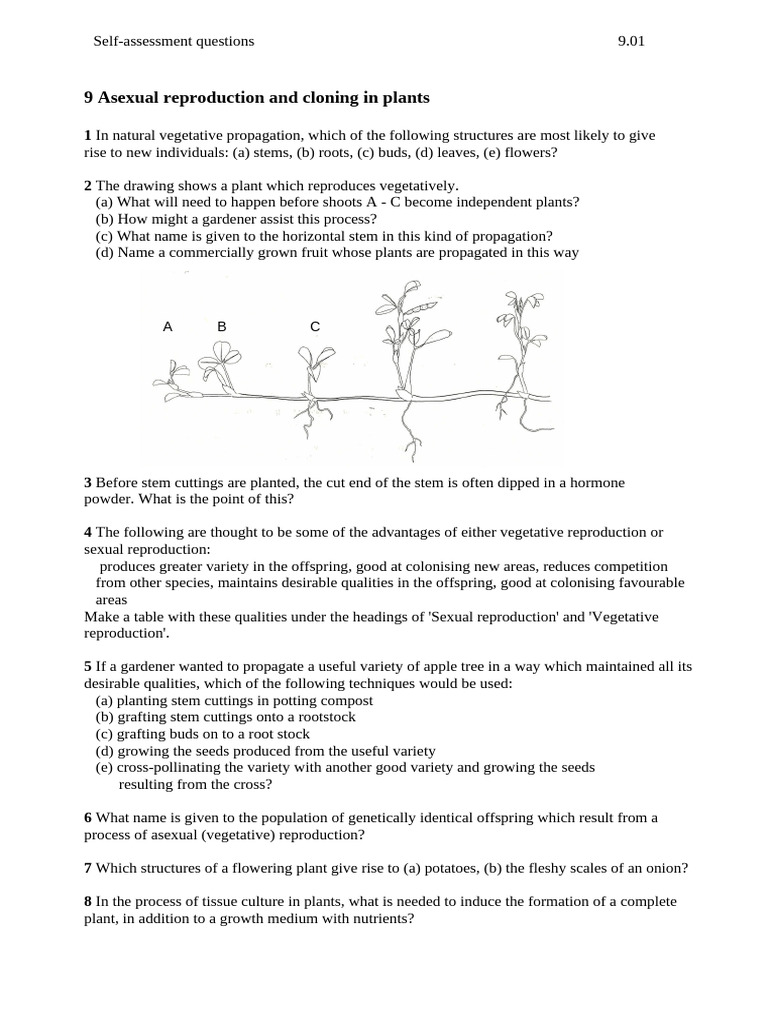 Asexual Reproduction in Plants Guide | PDF