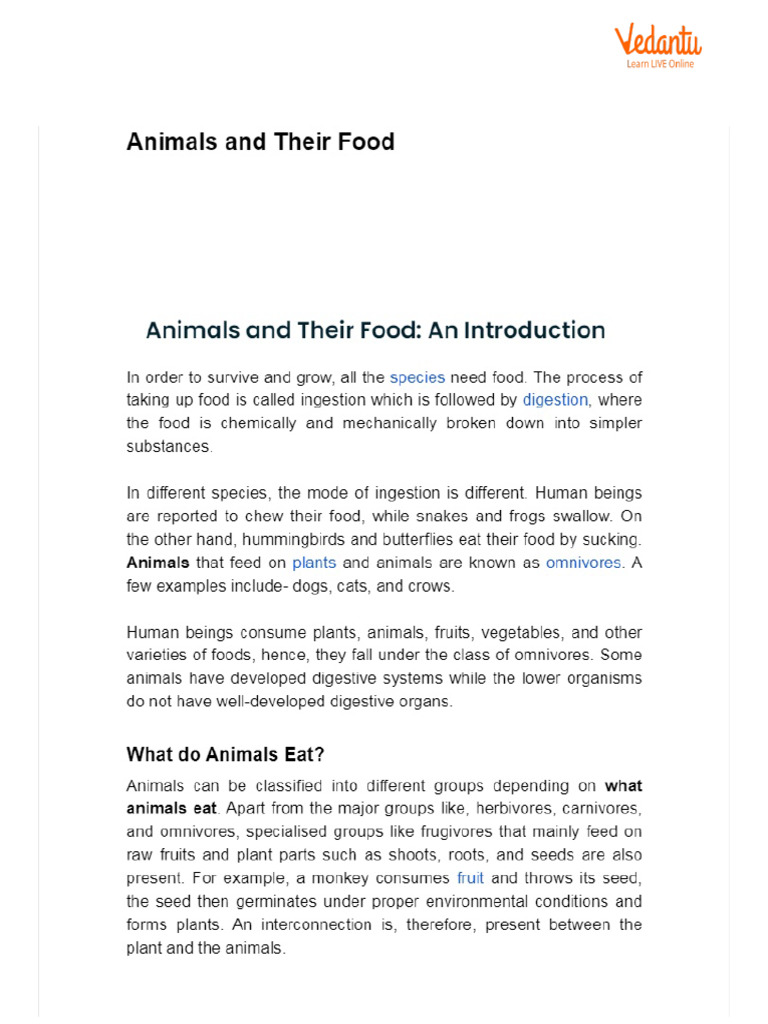 Animals and Their Food | PDF