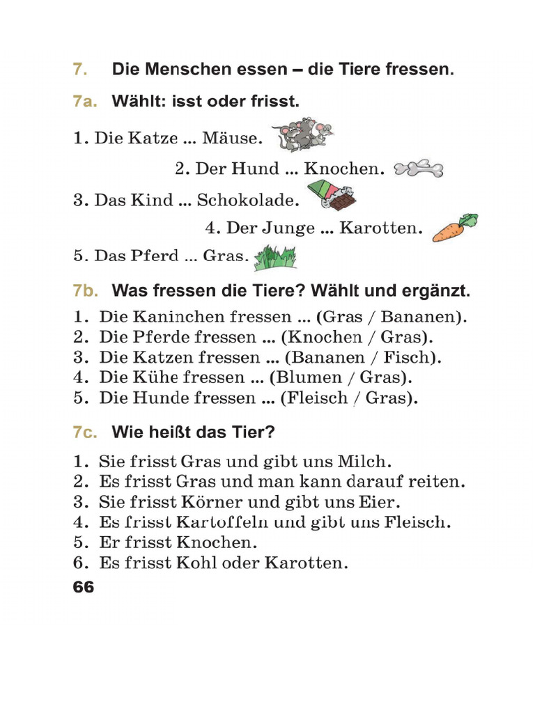 Was Fressen Die Tiere | PDF