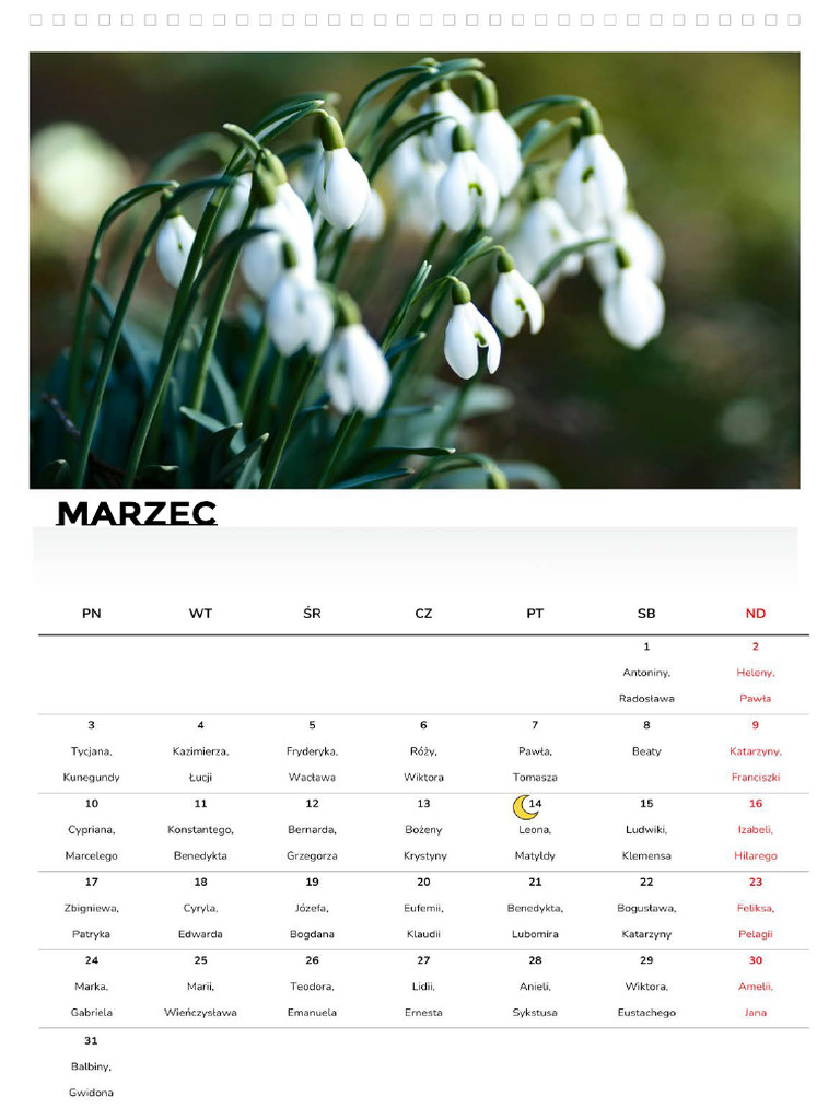 Marzec | PDF