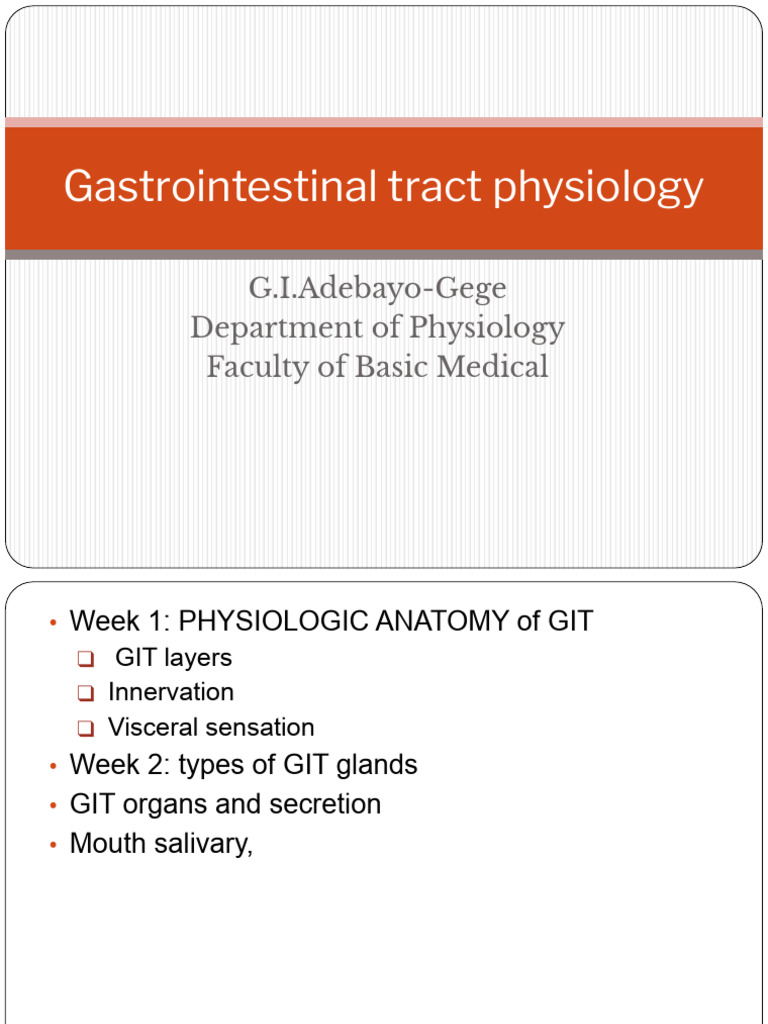Gastrointestinal Tract Physiology - PPTX 2 | PDF | Gastrointestinal ...