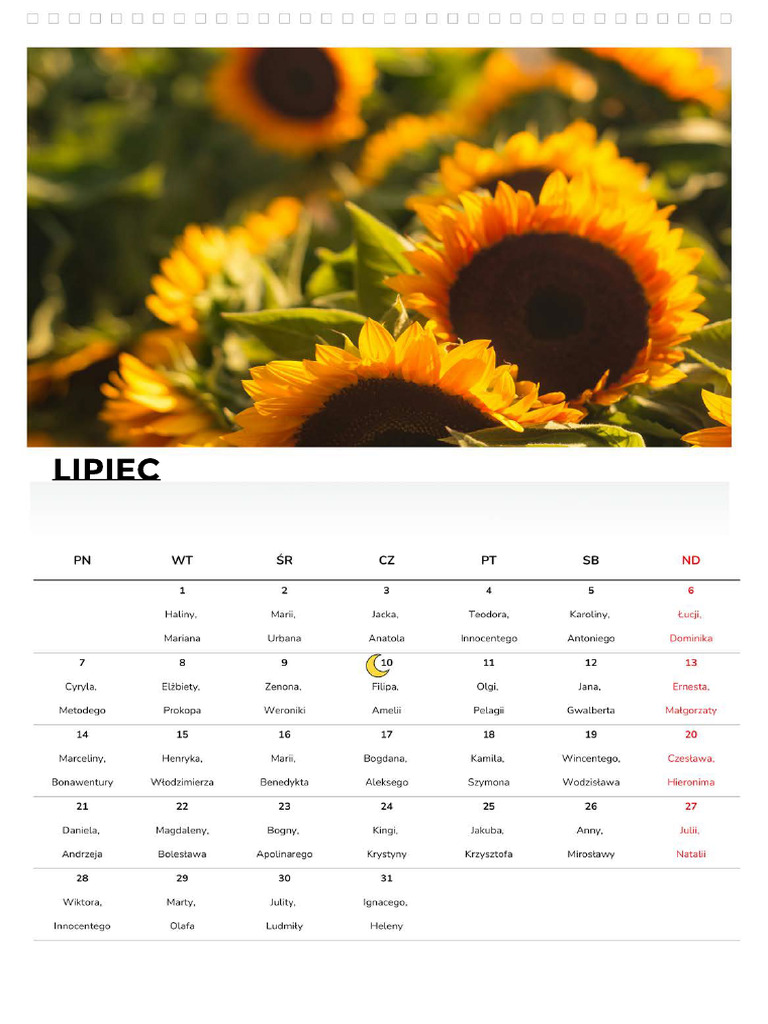 Li Pi Ec | PDF