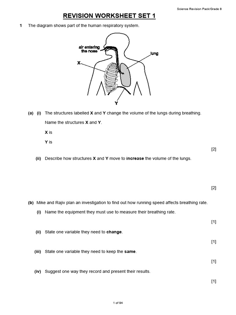 Revision Pack Grade 8 Term 3 | PDF | Asteroid | Planets