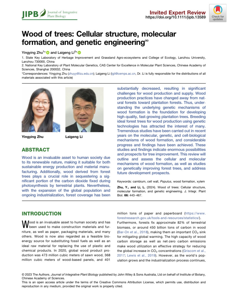 Wood of Trees Cellular Structure Molecular Formati | PDF | Auxin ...