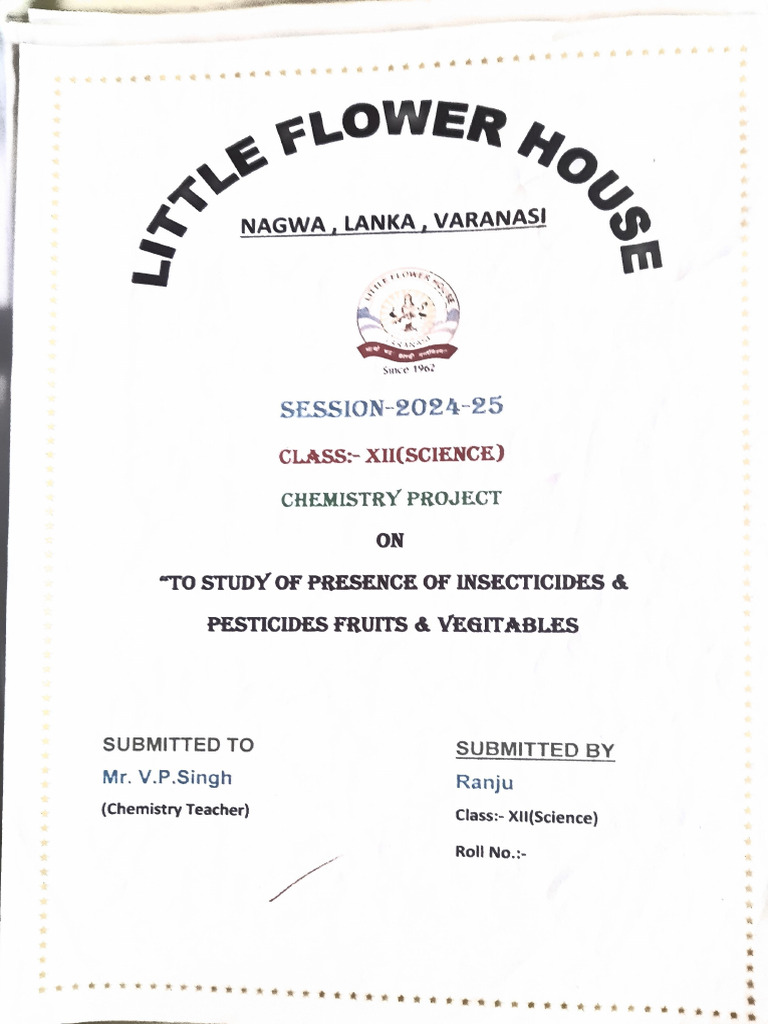 Chemistry Class 12 Project Front Pages | PDF