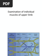 Forearm Supination Rom MMT | PDF
