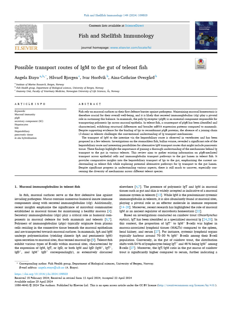 Possible Transport Routes of IgM To The Gut of Te 2024 Fish Shellfish ...