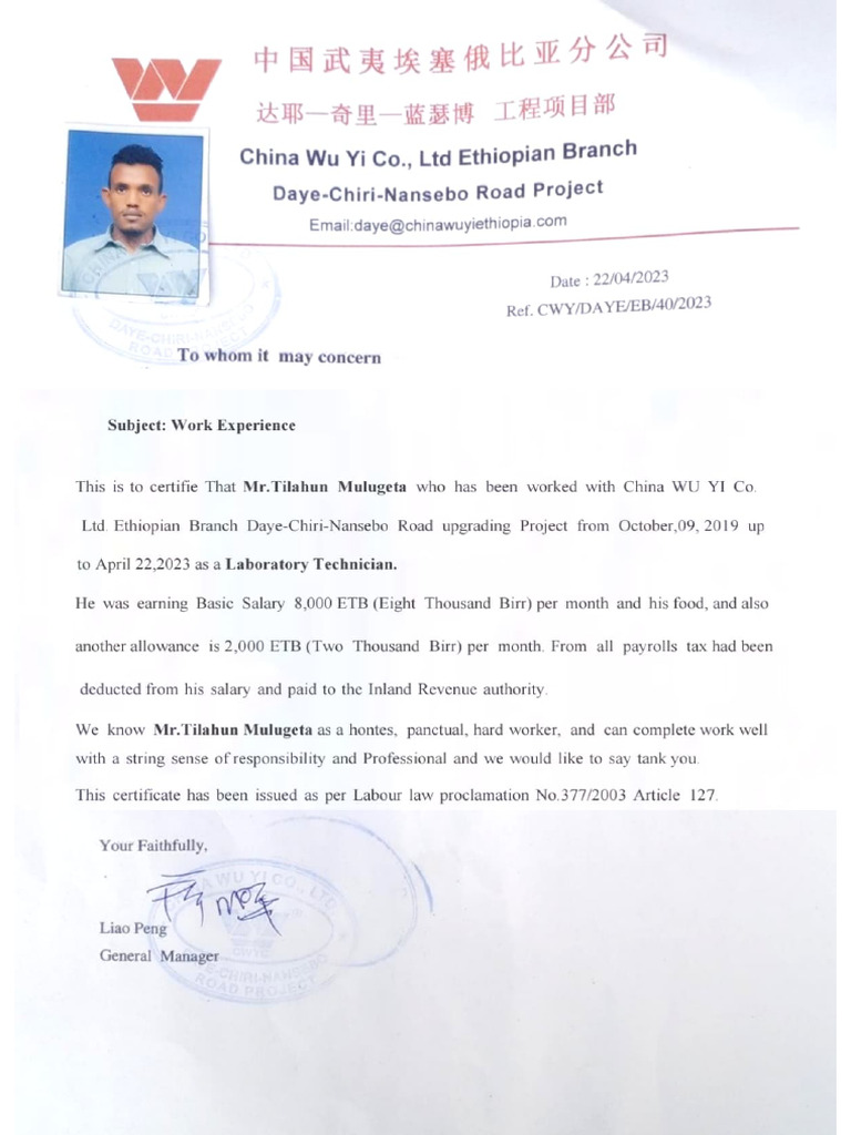 Tilahun Work Experience | PDF