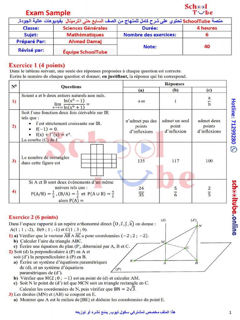 Schooltube Maths SG Sample 2025 | PDF