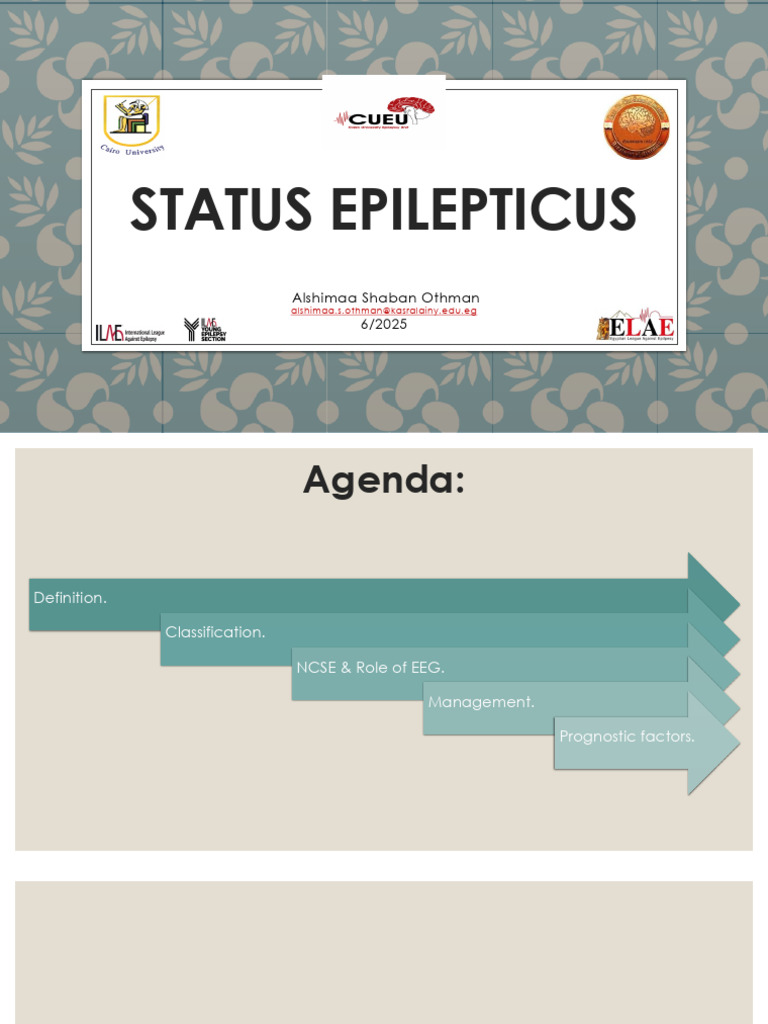 For Share WHOLE SE Presentation 6-2025 | PDF | Midazolam | Epilepsy