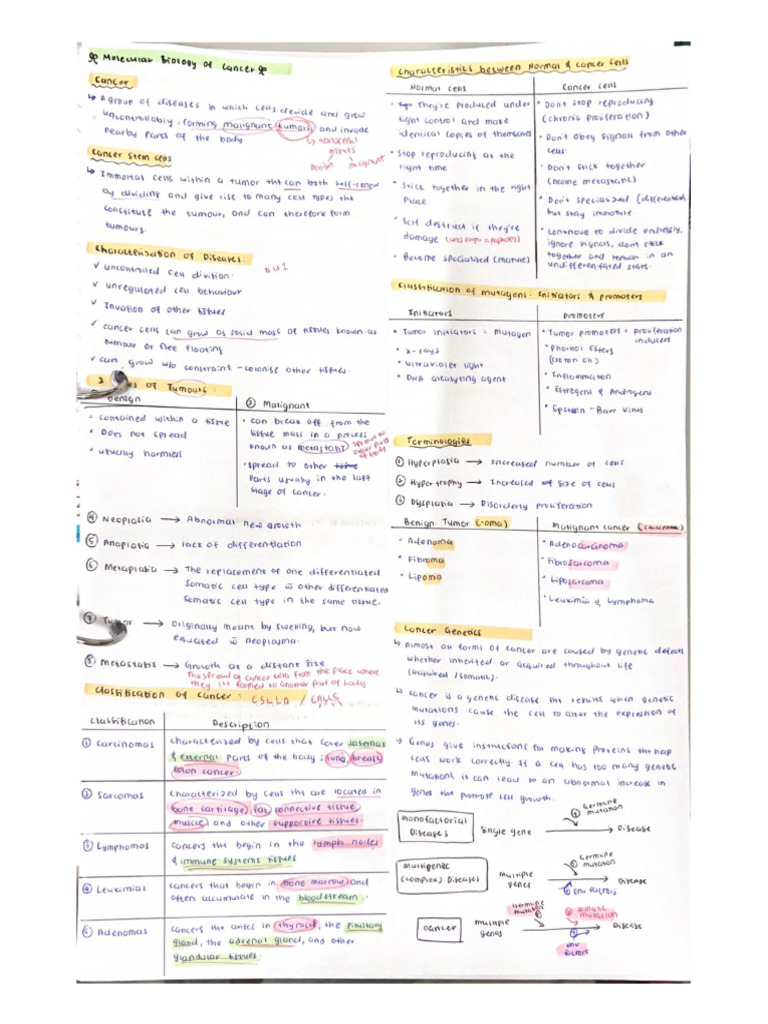 Notes On Cancer | PDF