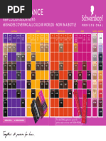 Schwarzkopf Conversion Chart | PDF