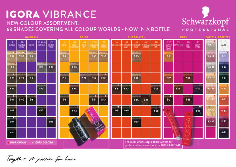 Igora Vibrance Chart Digital | PDF