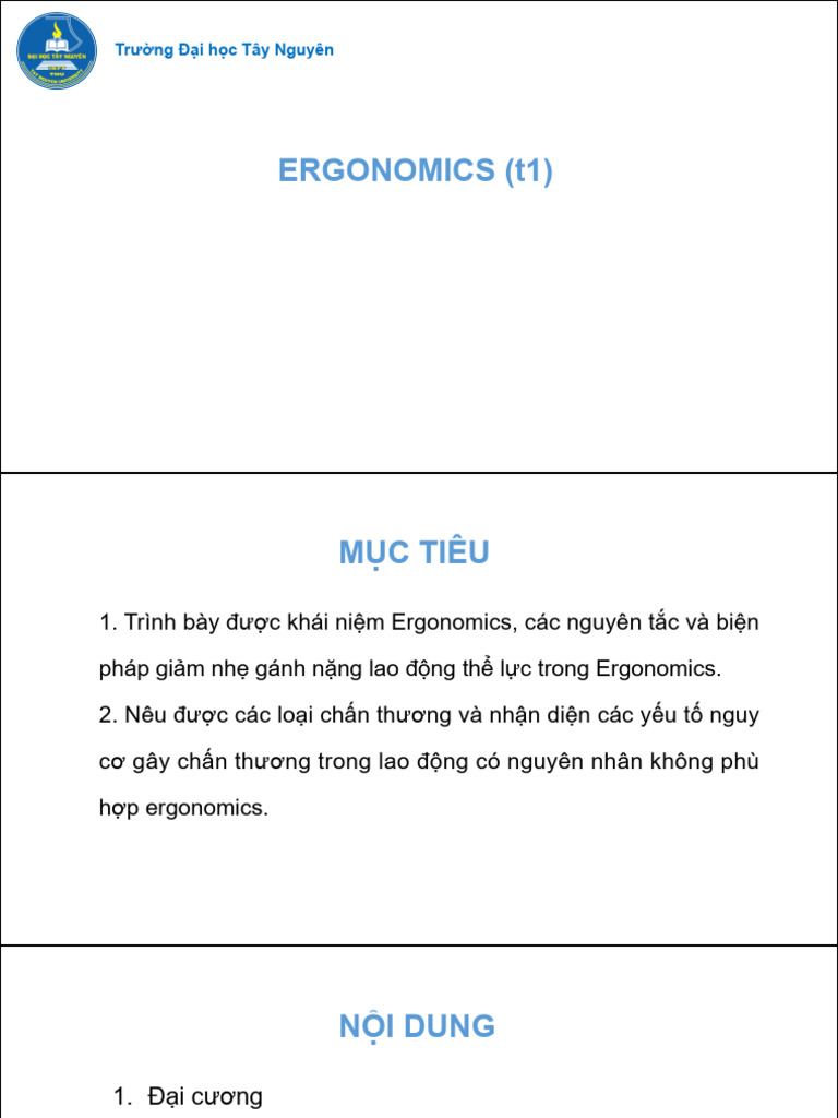 Ve Ergonomics | PDF