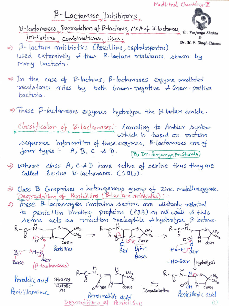 Beta Lactamase Inhibitors, Beta Lactam Degradation | PDF | Beta ...