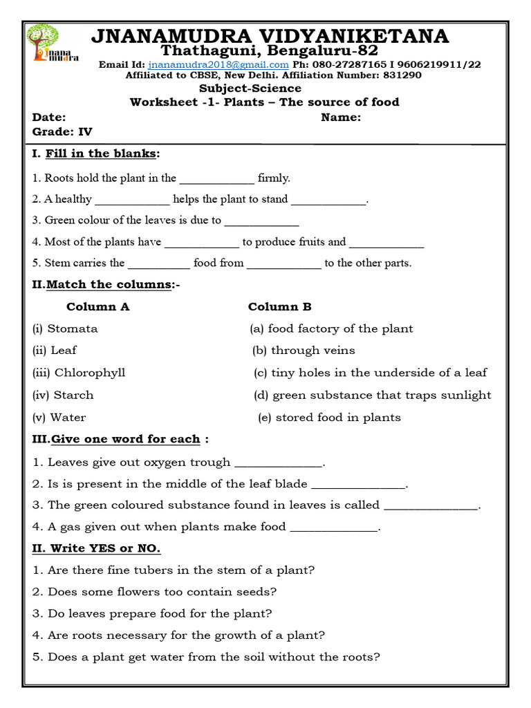 Science Worksheet Grade 4 Plants - The Source of Food | PDF | Leaf | Plants