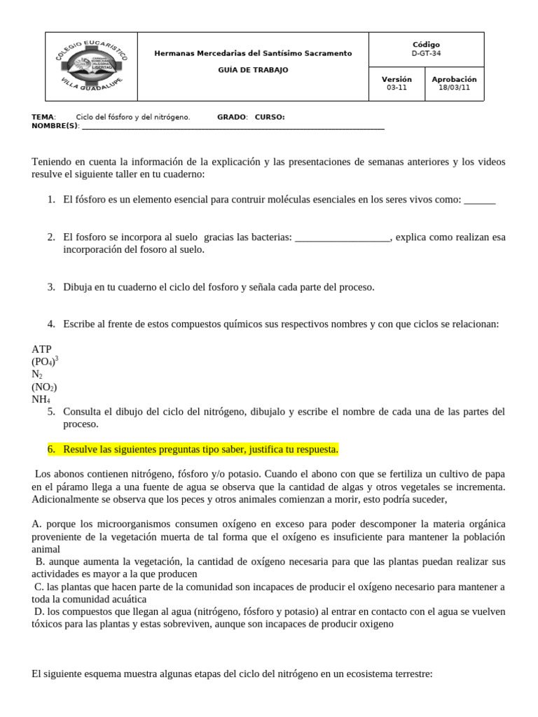 2024 Ciclo Del Fosfor y N | PDF | Nitrógeno | Plantas