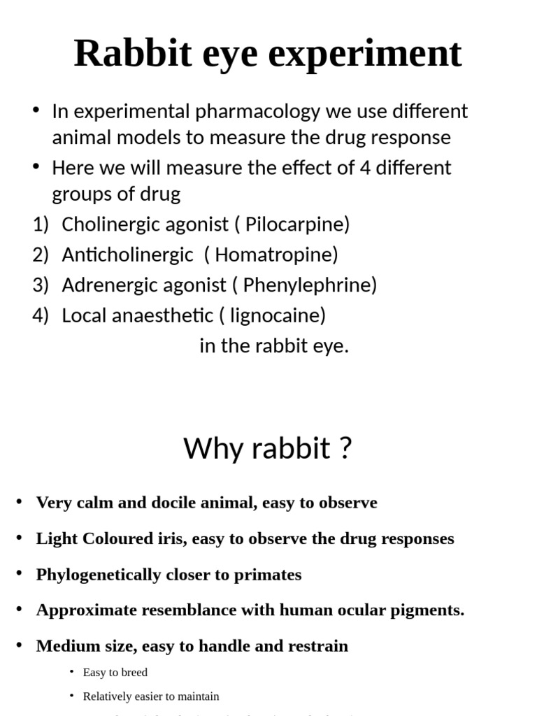 Rabbit Eye Experiment | PDF | Human Eye | Visual System