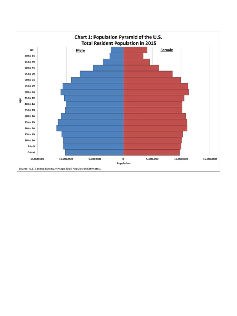 US Population Pyramid 2015 Analysis | PDF