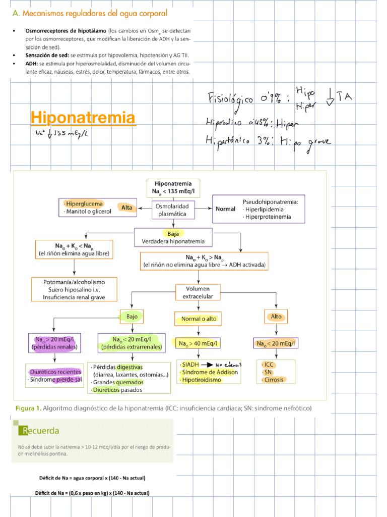 Trastornos Hidroelectrolíticos y Ácido-Base | PDF